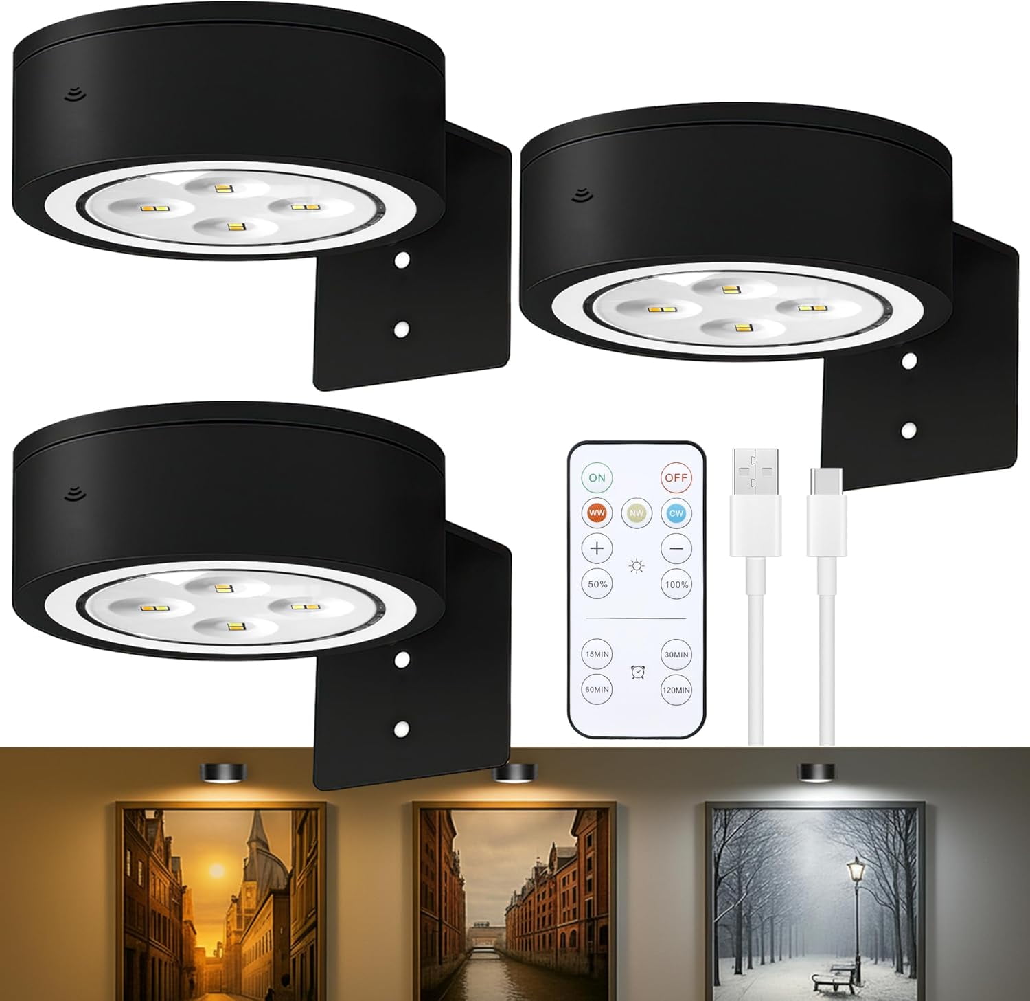 Picture Lights for Wall, Rechargeable Battery Operated LED Painting ...