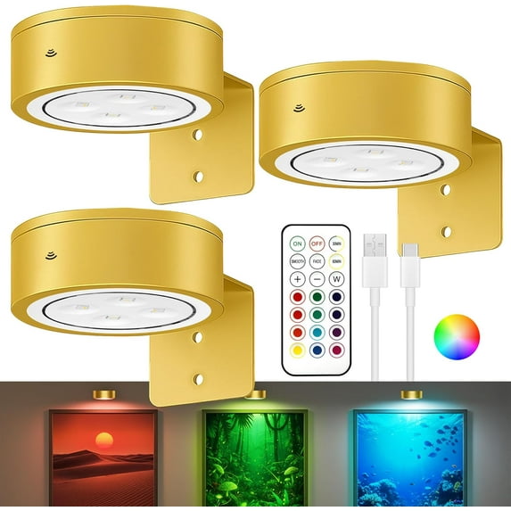 Picture Lights for Wall, Rechargeable Battery Operated LED Painting ...