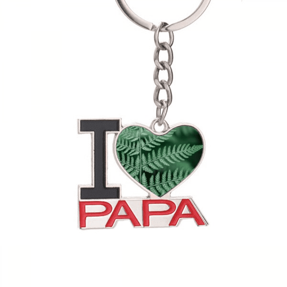 Picture Nature Photography Keychain Metal Keyring Holder Love PAPA ...