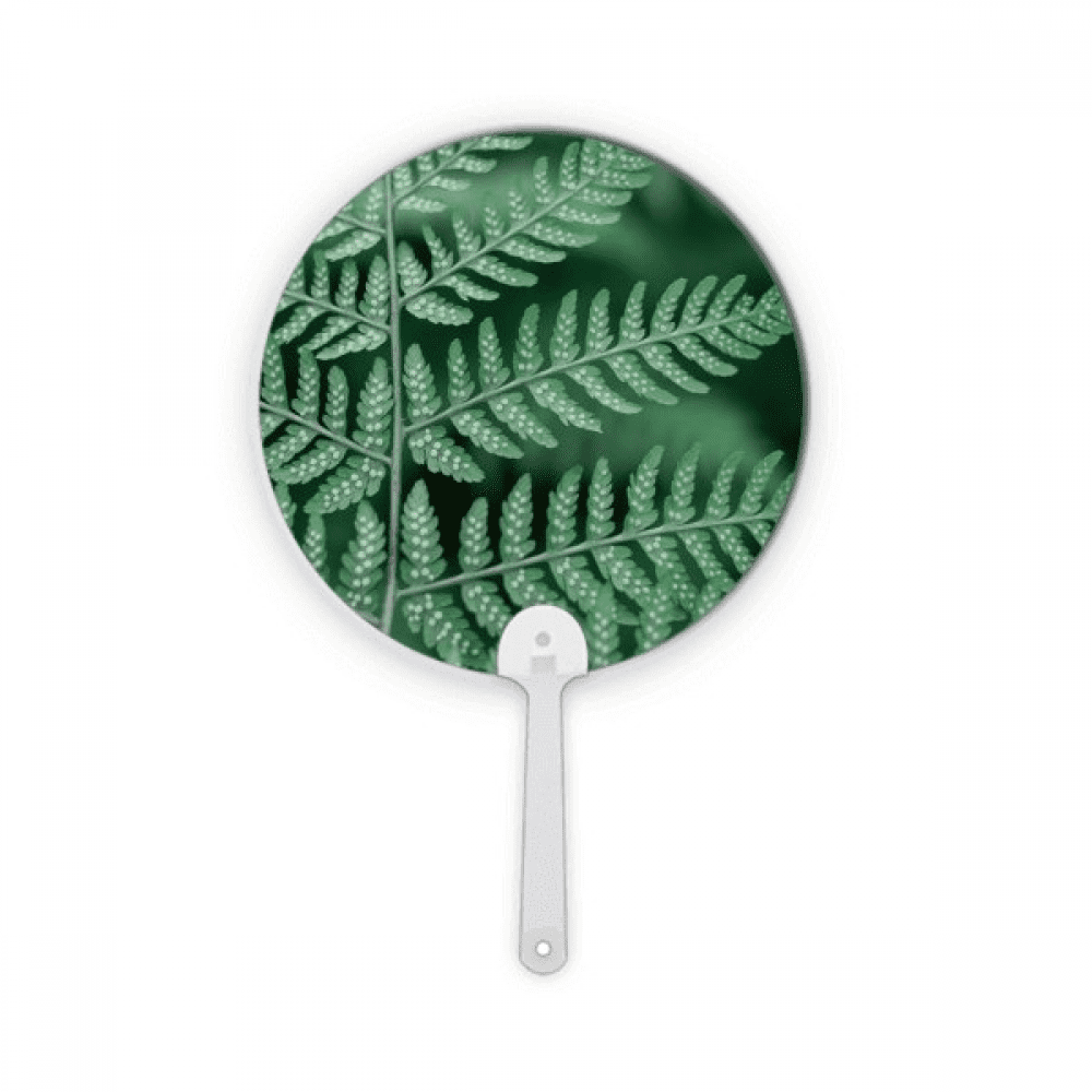 Picture Nature Photography Plastic Round Handheld Fan Decorations Craft ...