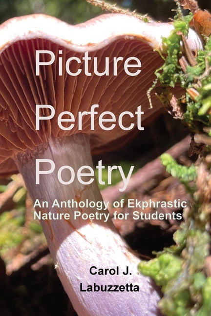 Picture Perfect Poetry: An Anthology of Ekphrastic Nature Poetry for ...