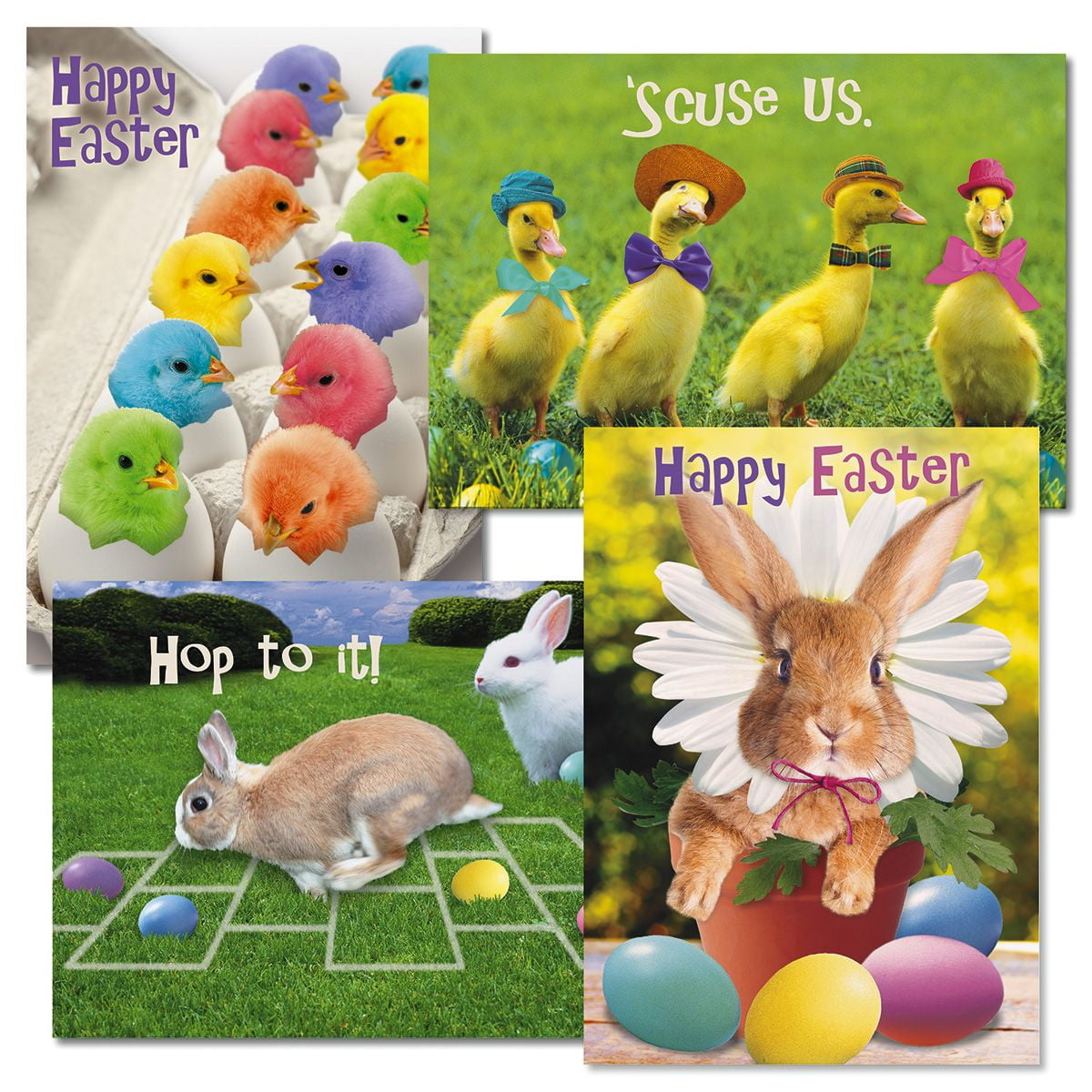 Picture This Easter Greeting Cards - Set of 8, 5" x 7', 4 Happy Easter ...