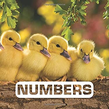Pre-Owned Numbers (Board book) 0544512650 9780544512658 - Walmart.com