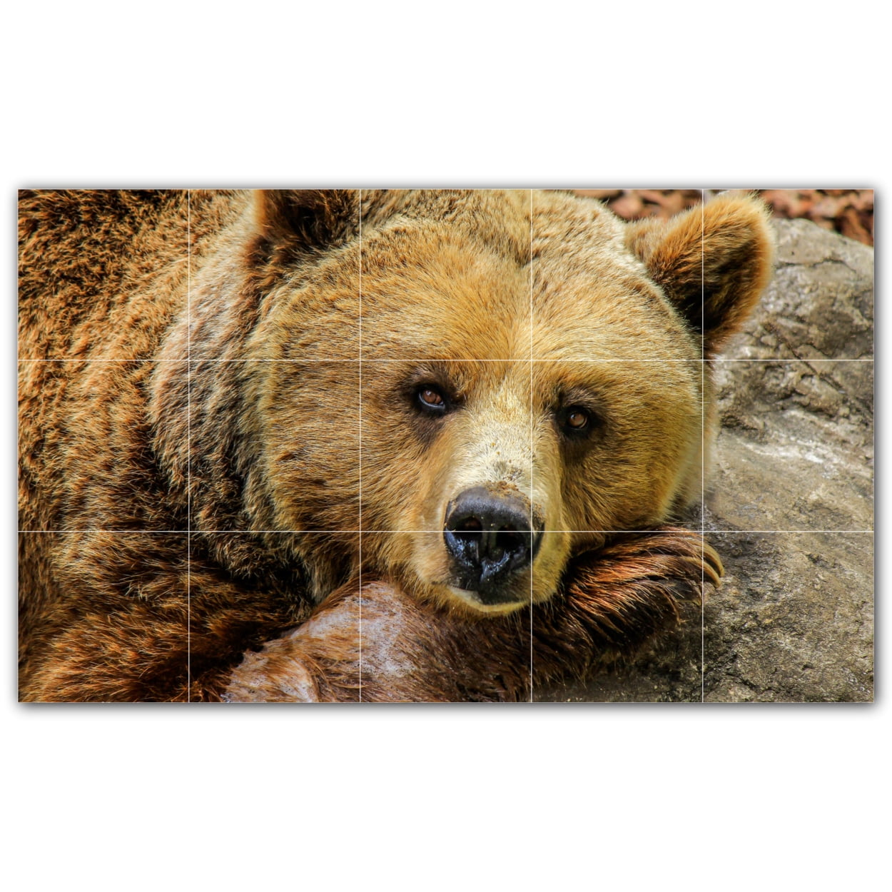 Picture-Tiles.com: Bear Ceramic Tile Wall Mural WAL500125-53M. 30"W x ...