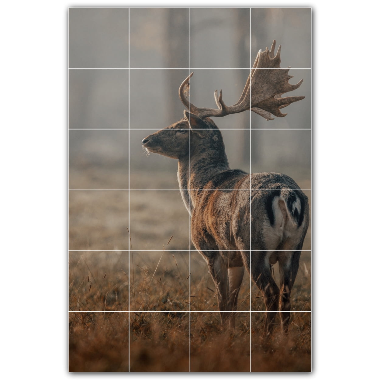 Picture-Tiles.com: Deer Ceramic Tile Wall Mural WAL500448-46XL. 48"W x ...
