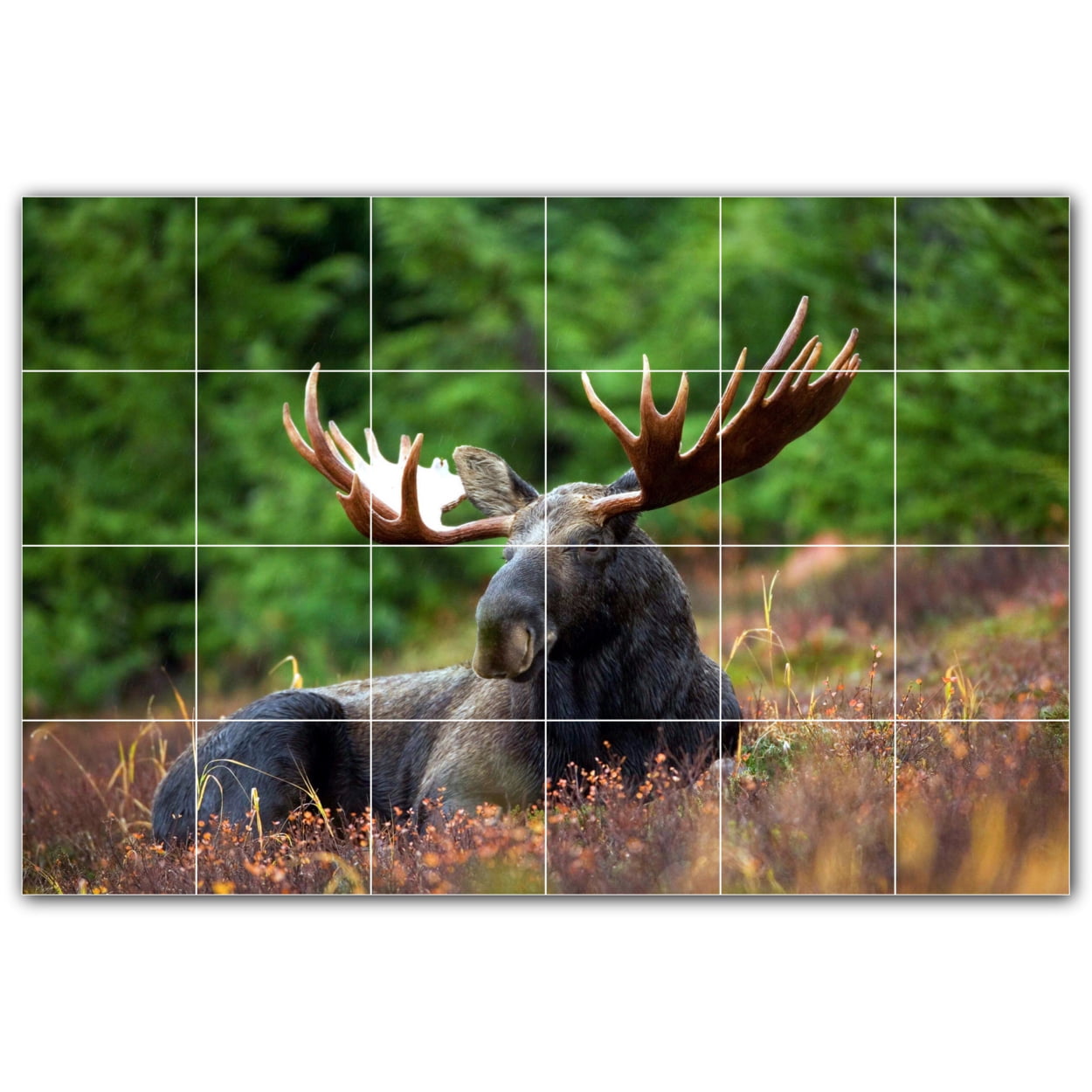 Picture-Tiles.com: Deer Ceramic Tile Wall Mural WAL500463-64L. 48"W x ...