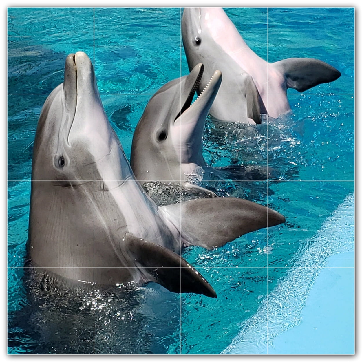 Picture-Tiles.com: Dolphin Ceramic Tile Wall Mural WAL500512-44L. 32"W ...