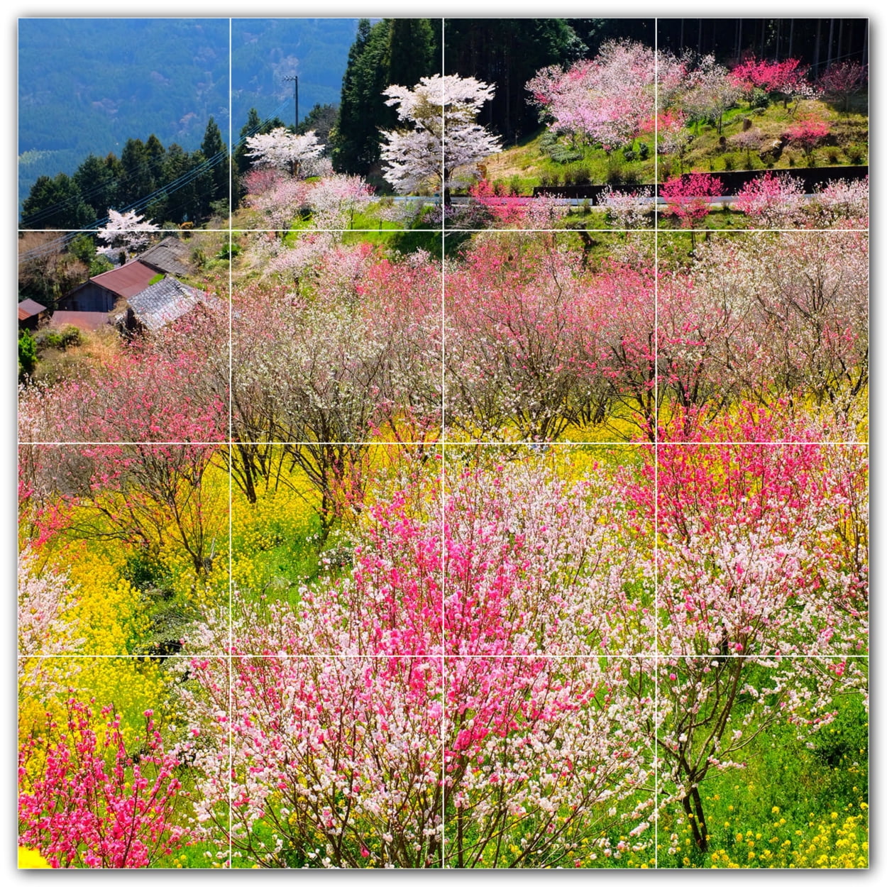 Picture-Tiles.com: Spring Ceramic Tile Wall Mural WAL500947-44XL. 48"W ...