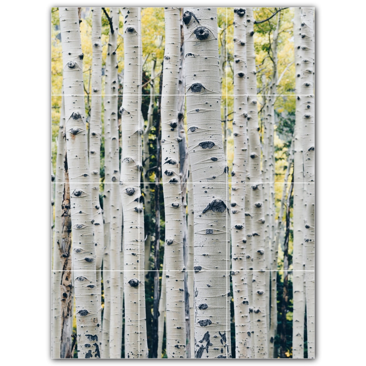 Picture-Tiles.com: Trees Ceramic Tile Wall Mural WAL501025-34M. 18"W x ...
