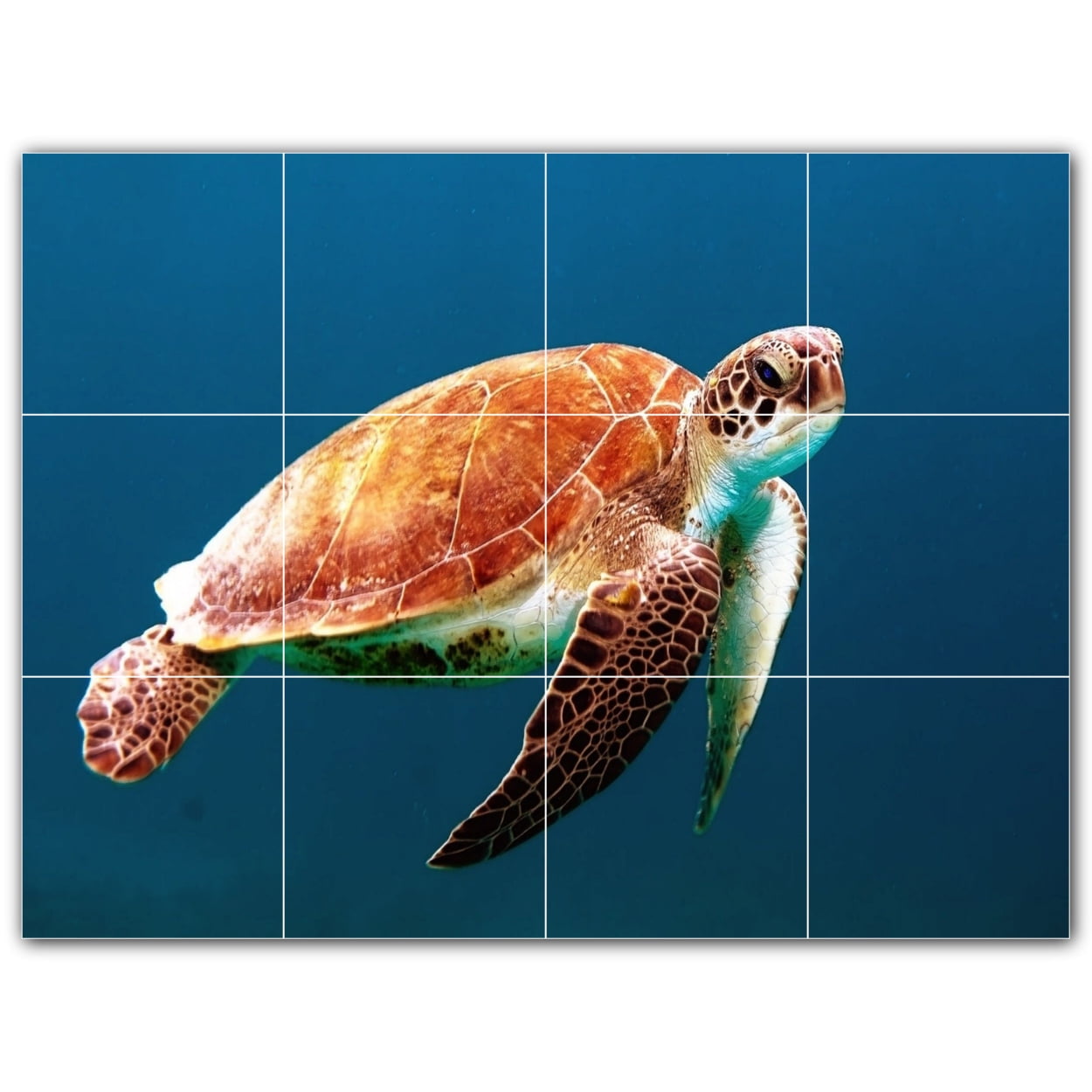 Picture-Tiles.com: Turtle Ceramic Tile Wall Mural WAL501083-43L. 32"W x ...