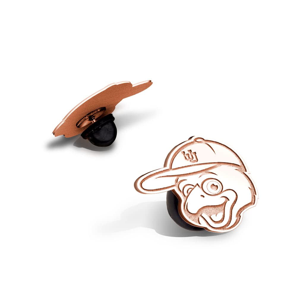 Picturesongold.Com Swoop the Red-Tailed Hawk Pin Unisex Adult birthday ...