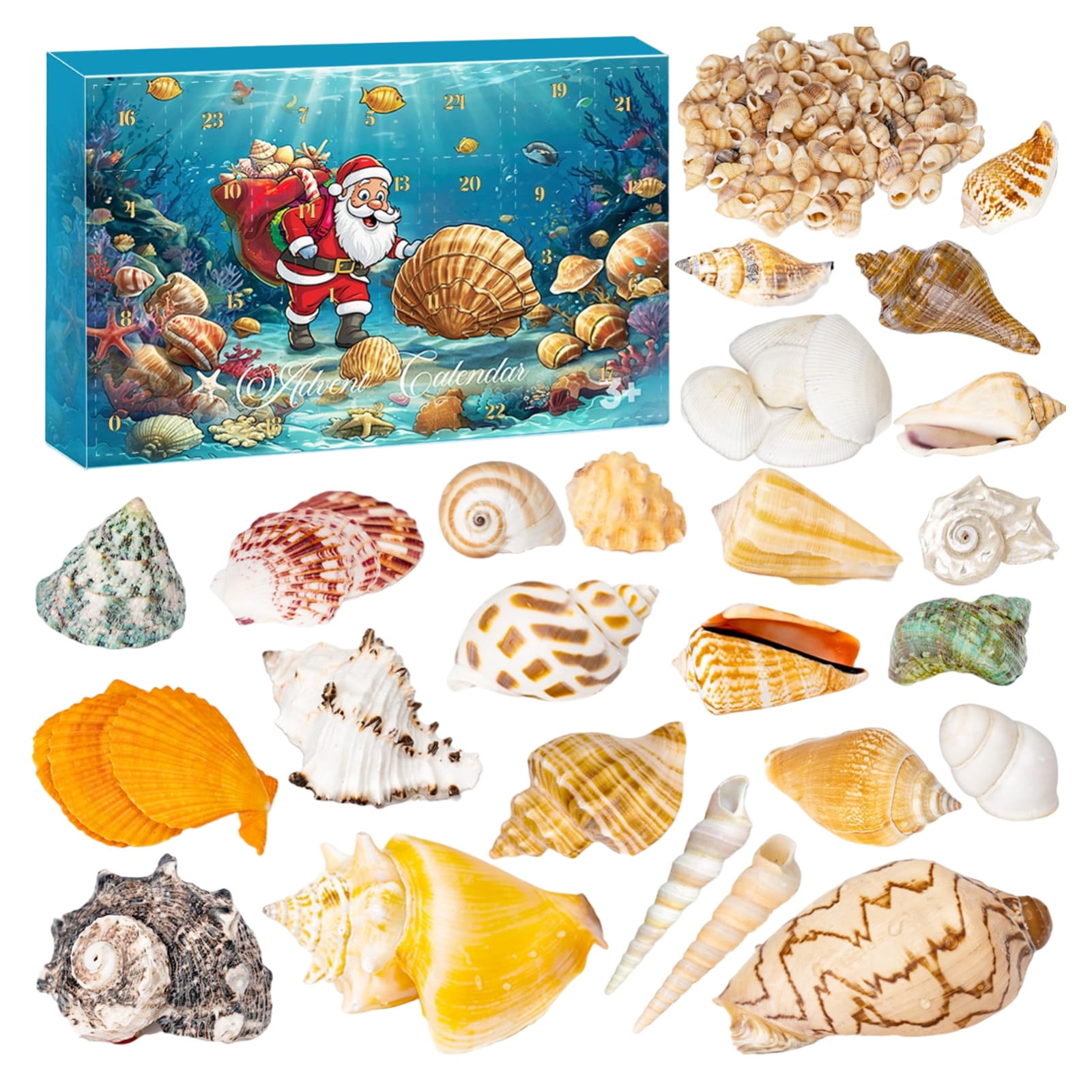 Piebxs Advent Calendar 2024 Seashell, 24 Days Christmas Countdown ...