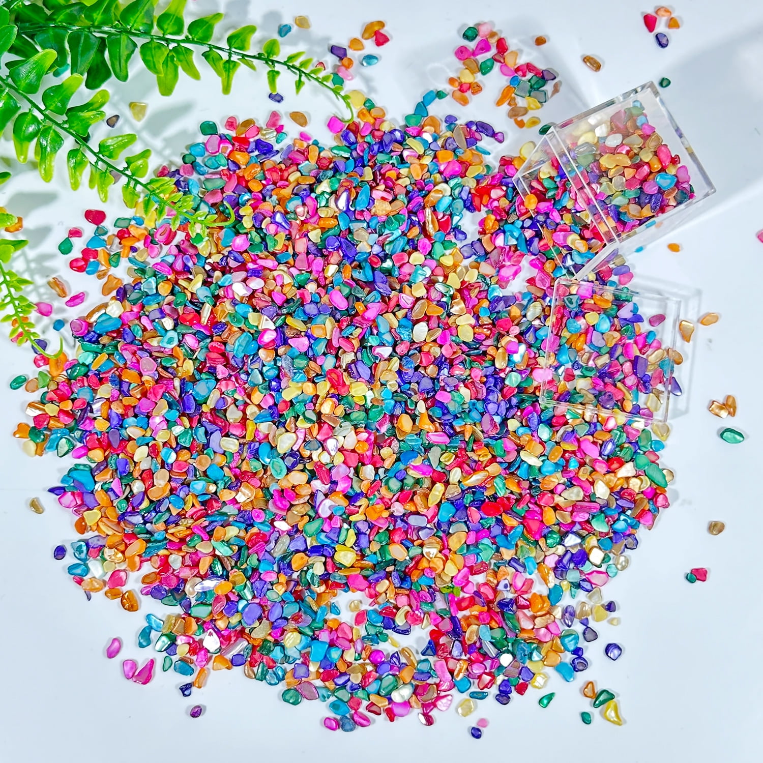 Piedras De Concha Naturales Trituradas 50g/100g Para Paisaje De Acuario ...