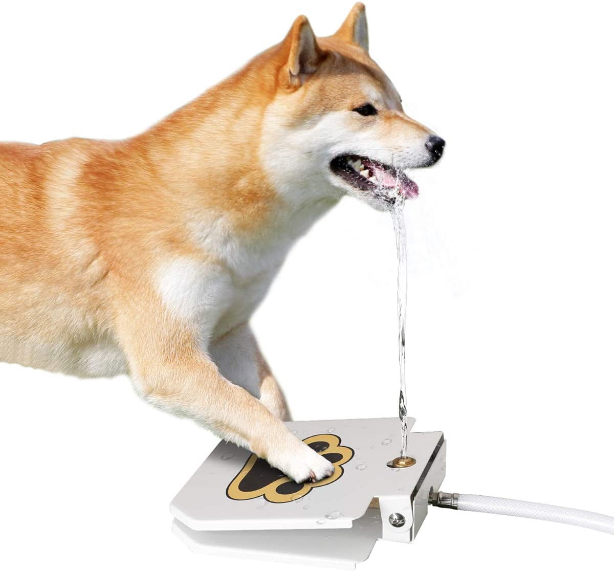 Piepea Brass Valve Outdoor Dog/Pet Water Fountain, Step On Dog/Pet ...