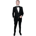 Pierce Brosnan (Smart) Lifesize Cardboard Cutout Standee - Walmart.com