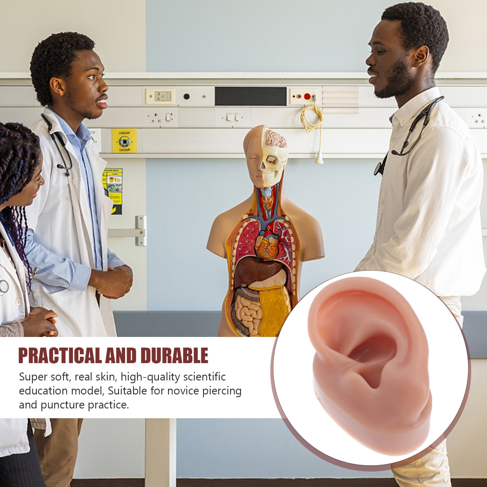 Piercing Model1Pc Silicone Ear Model Reusable Simulation Human Ear ...