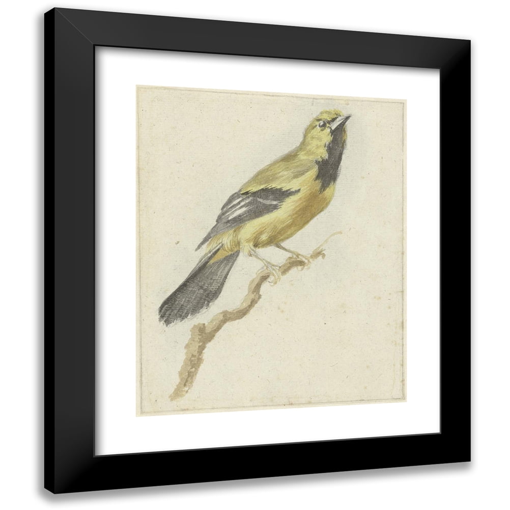 Pieter Gevers 12x14 Black Modern Framed Museum Art Print Titled ...