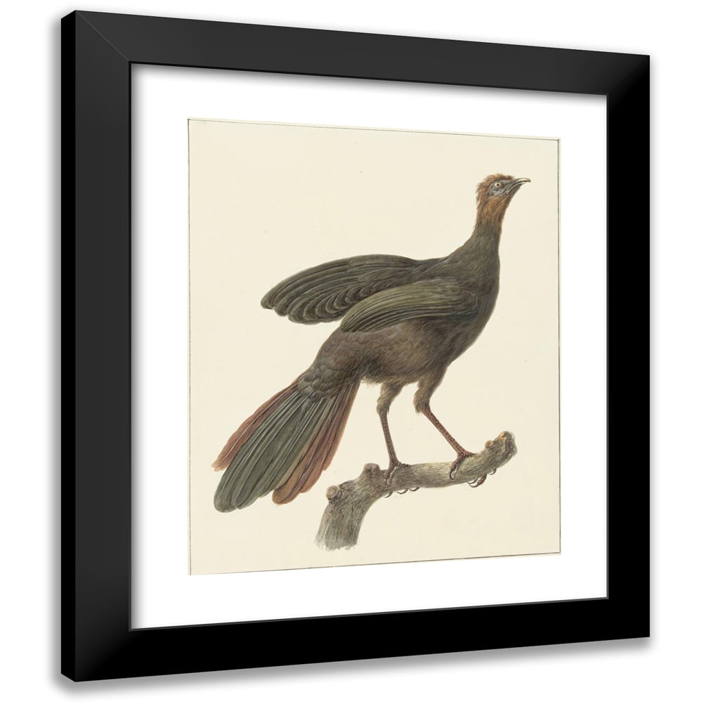 Pieter Pietersz. Barbiers 15x18 Black Modern Framed Museum Art Print ...