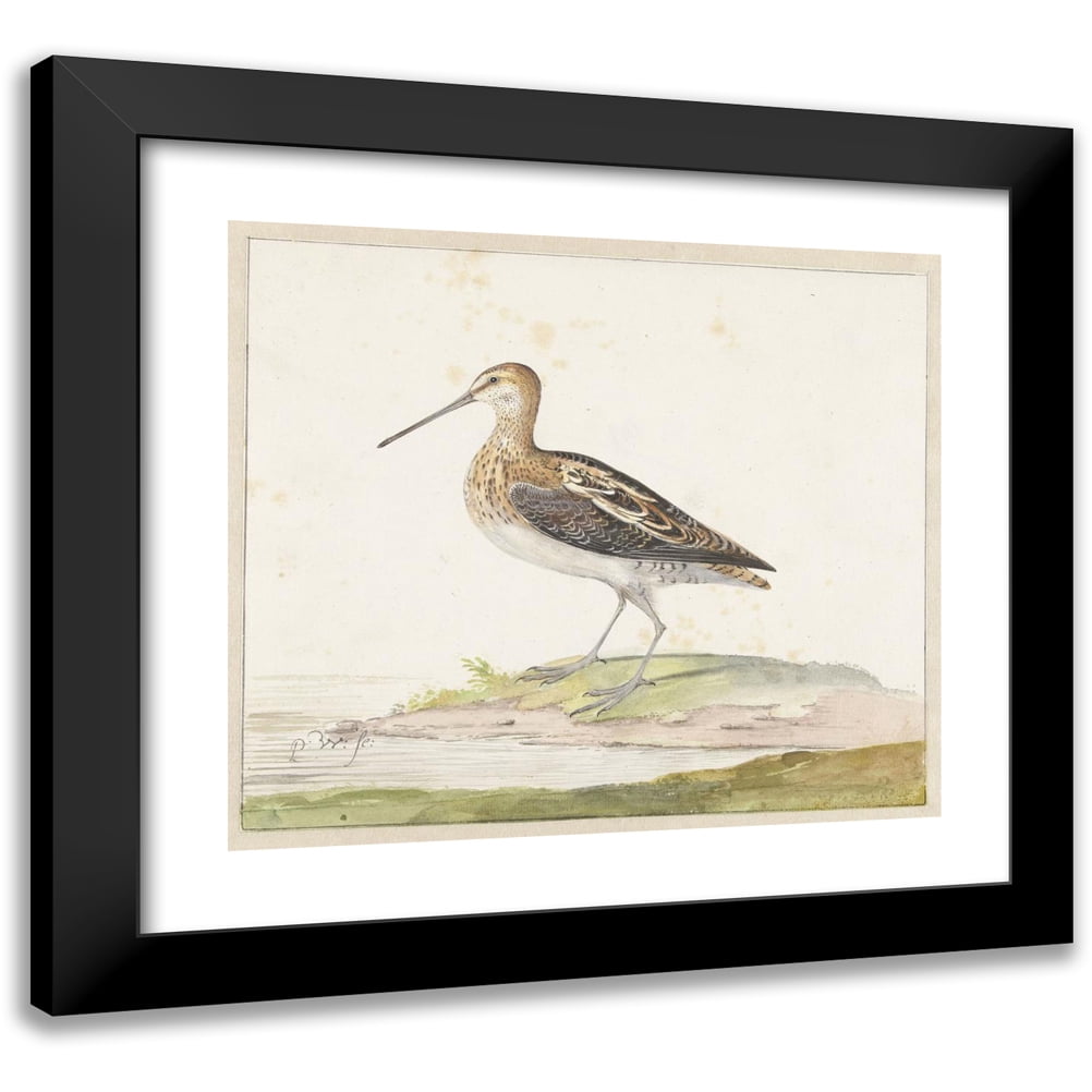 Pieter Withoos 22x20 Black Modern Framed Museum Art Print Titled ...