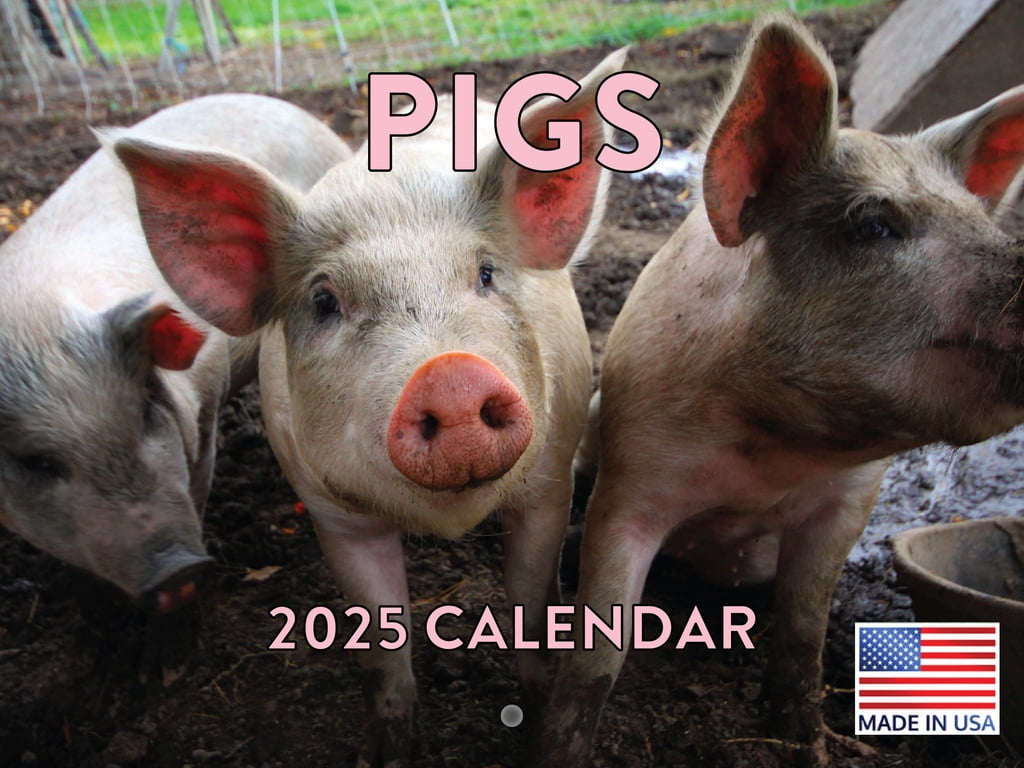 Pig Calendar 2025 Monthly Wall Calender 12 Month | American Made In The ...