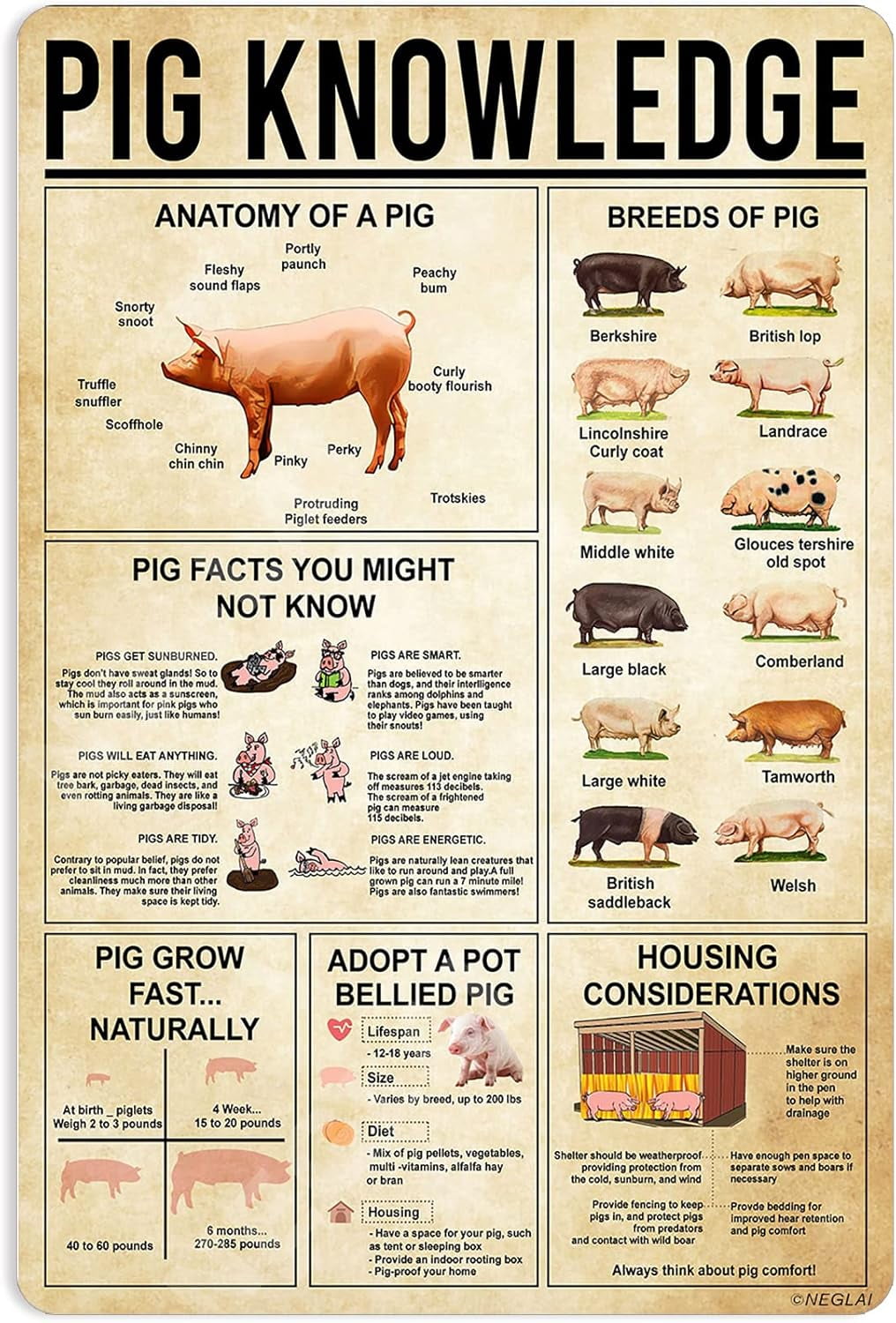Pig Knowledge Farm Knowledge Metal Tin Signs Poster, Vintage ...