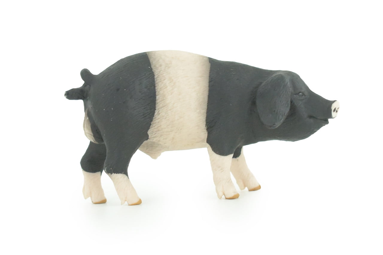 Pig, Male, Hog, Black and White, Hand Painted, Educational, Museum ...