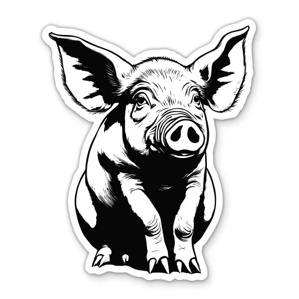 Pig Sticker Phone Decal Water Bottle Stickers Car Decals, Laptop ...
