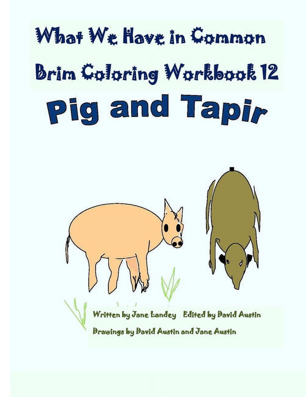 Pig/Tapir Coloring Workbook: What We Have in Common Brim Coloring ...