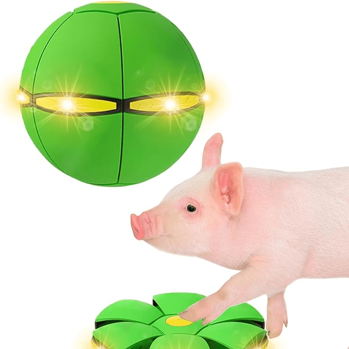 NCBFHRB Toy for Pigs, Interactive Flying Saucer Disc Ball Toys with 6 ...