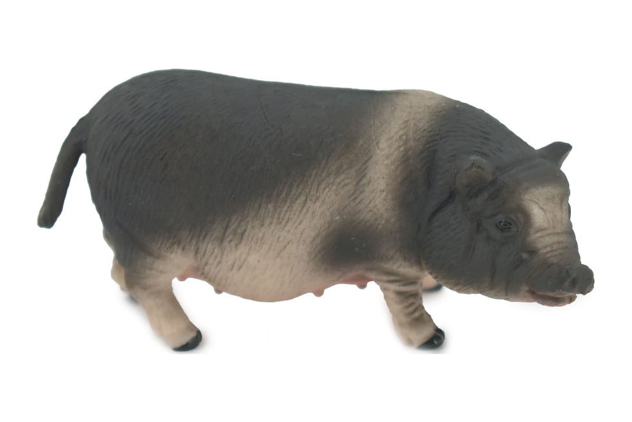 Pig, Vietnamese Pot-bellied, Swine, Farm Animal, Hand Painted, Rubber ...