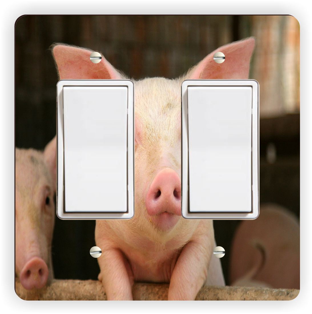 Pig in Sty Piglet - Double Rocker Light Switch Cover - Double Rocker ...