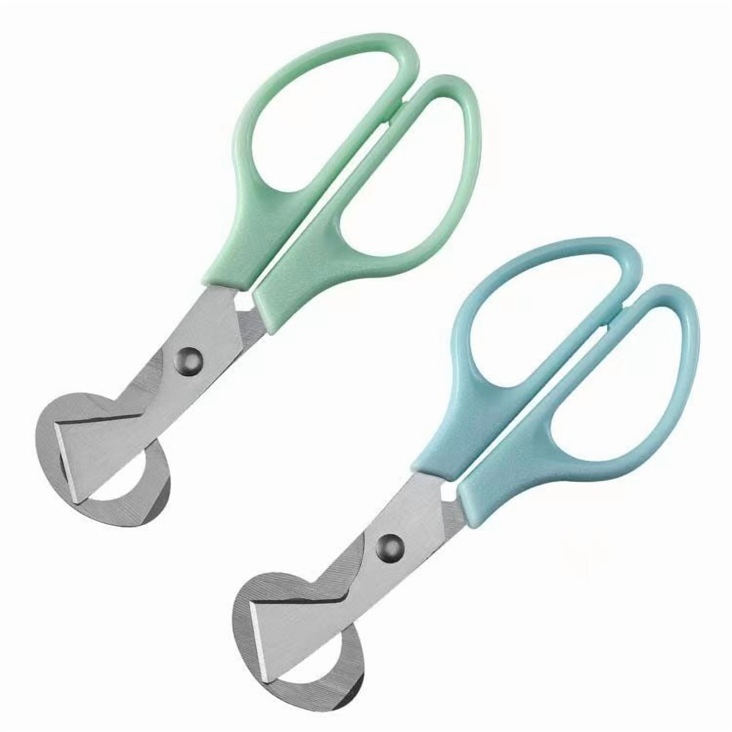 Pigeon Quail Egg Cutter Scissors Stainless Steel Blades Bird Cutter 2 ...
