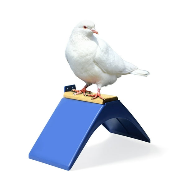 Pigeon Rest Stand Pigeon Perches Frame Grill Dwelling Roost Durable ...