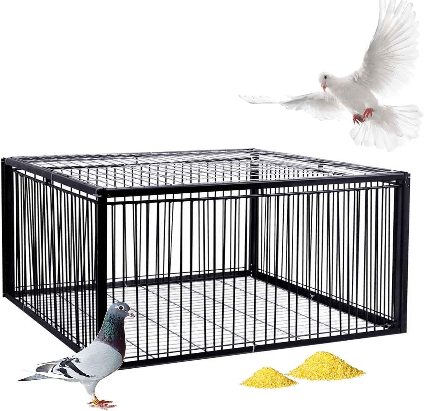 Pigeon Trap, Auto Trap Bird Cage, 4 Entrances, One-way Design for Entry ...