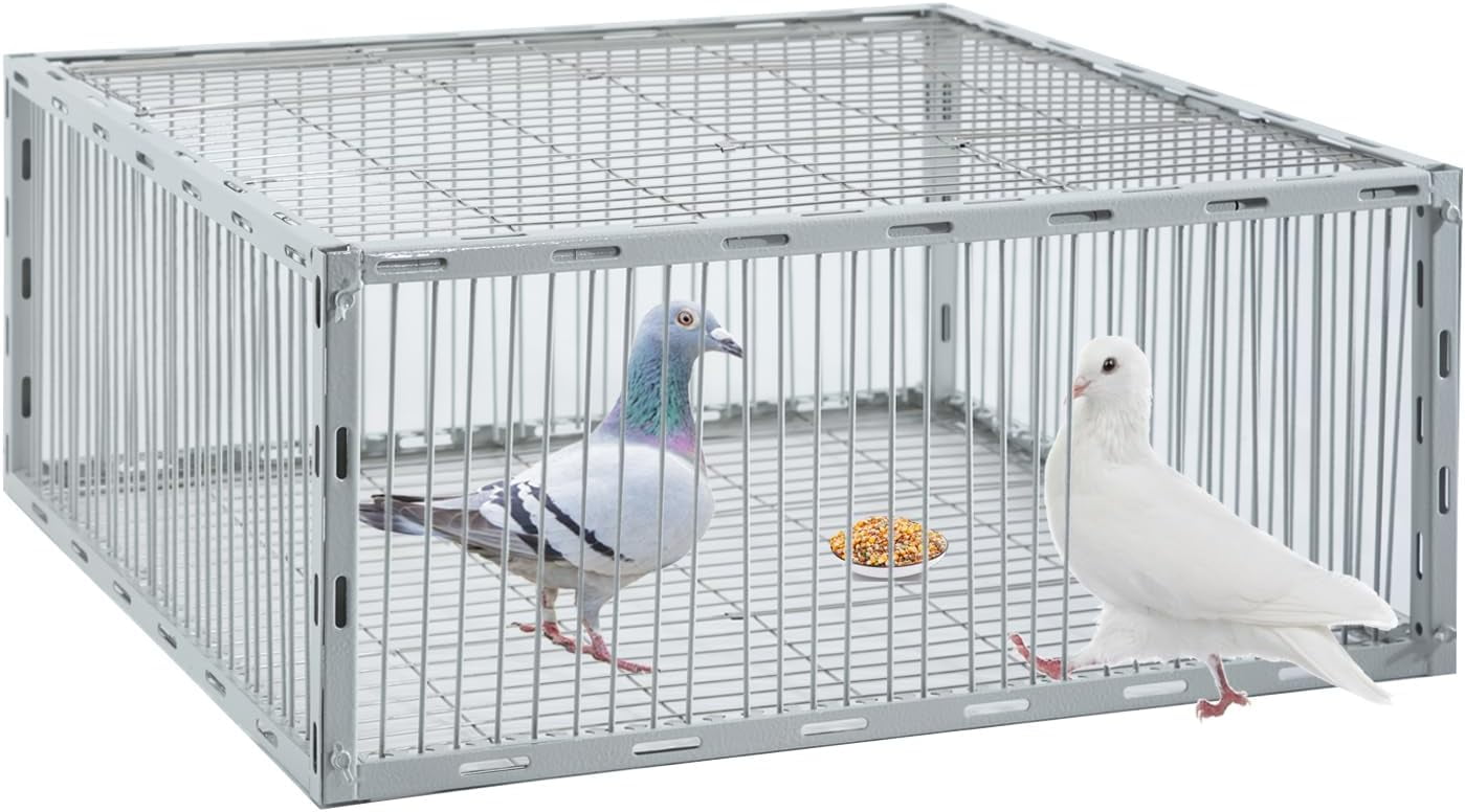 Pigeon Trap with Escape-Proof Design,Pigeon Cage with One-Way Entry ...