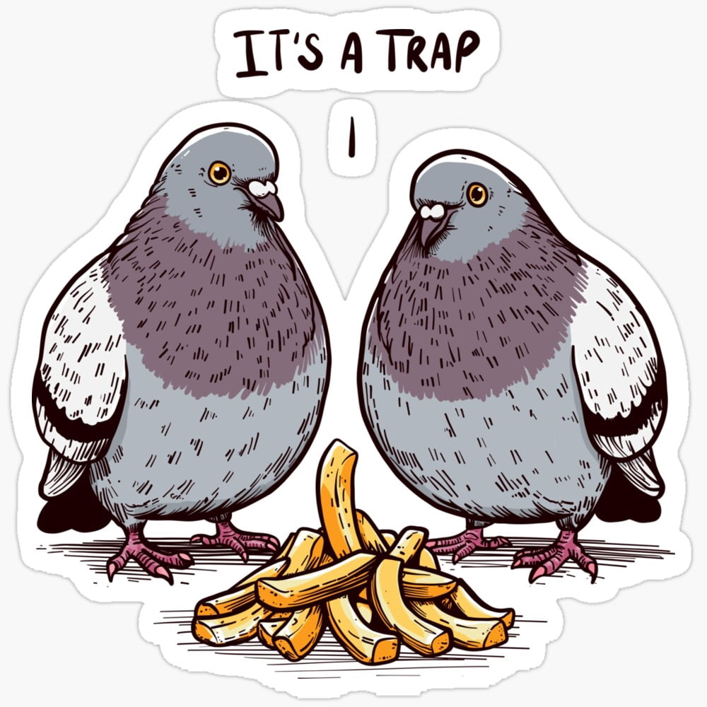 Pigeon Trap Sticker Phone Decal Water Bottle Stickers Car Decals ...