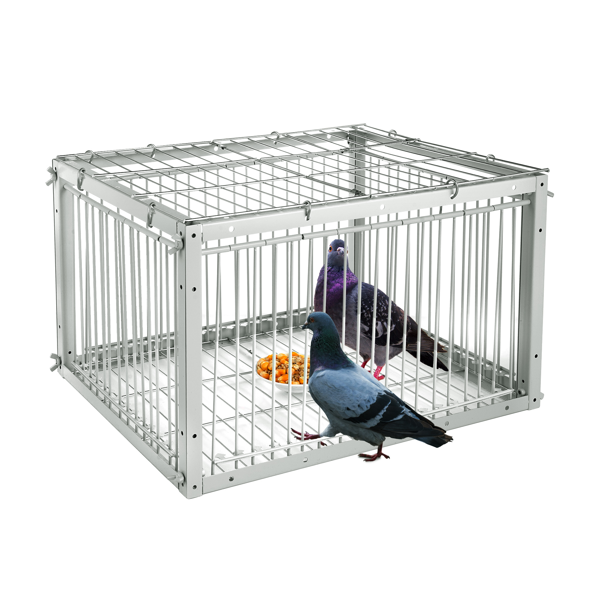 Pigeon Trap with Escape-Proof, Bird Trap Cage with One-Way Entry ...