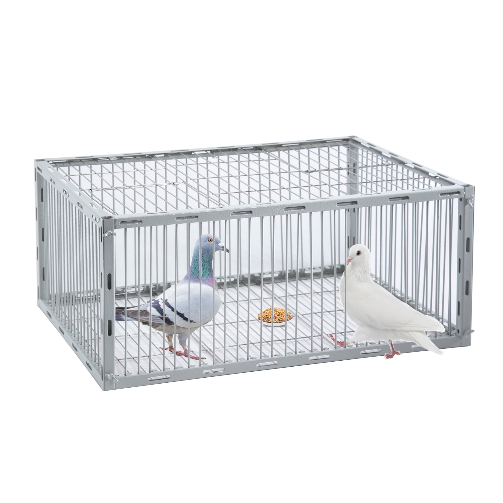 Humane Live Pigeon Trap, Safe Bird Catcher Cage with One-Way Entry ...