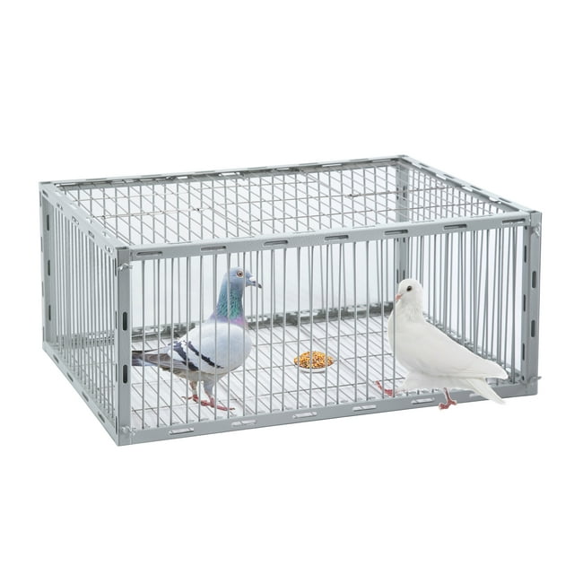 Humane Live Pigeon Trap, Safe Bird Catcher Cage with One-Way Entry ...