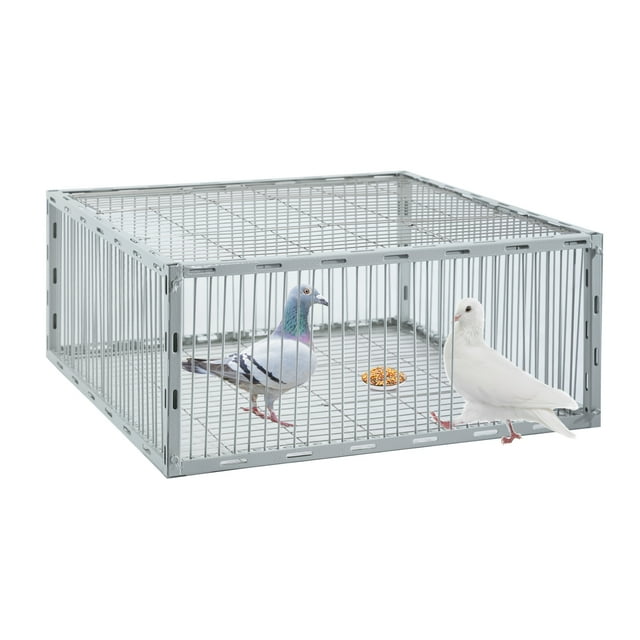 Humane Live Pigeon Trap, Safe Bird Catcher with One-Way Entry, Anti ...