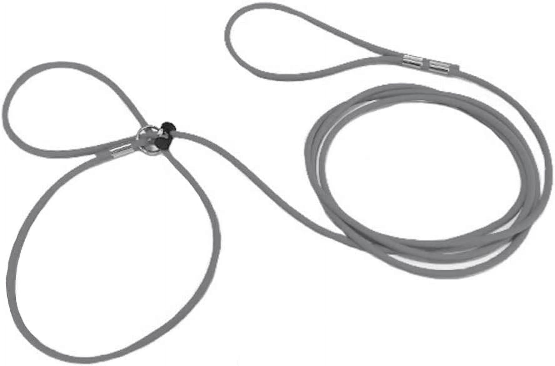 Piggy Poo and Crew Adjustable Mini Pig Harness and Leash Also Fits ...