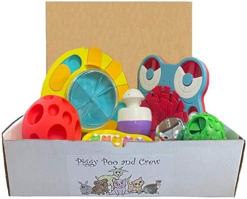 Piggy Poo and Crew Pet Game Box - Mini Pig Box - Dog Box - Gift Box ...