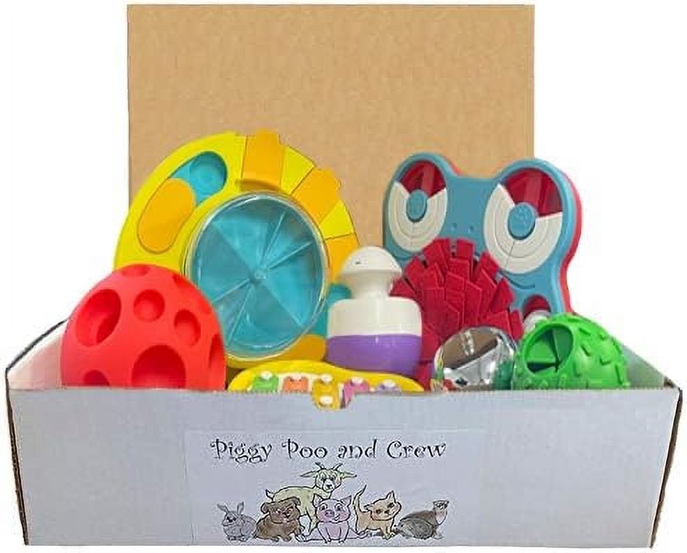 Pet Game Box - Mini Pig Box - Dog Box - Gift Box (Blue and Yellow Game ...