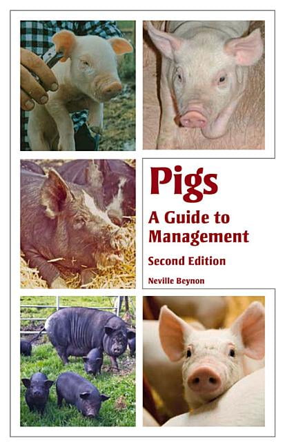 Pigs Neville Beynon (Paperback) - Walmart Business Supplies