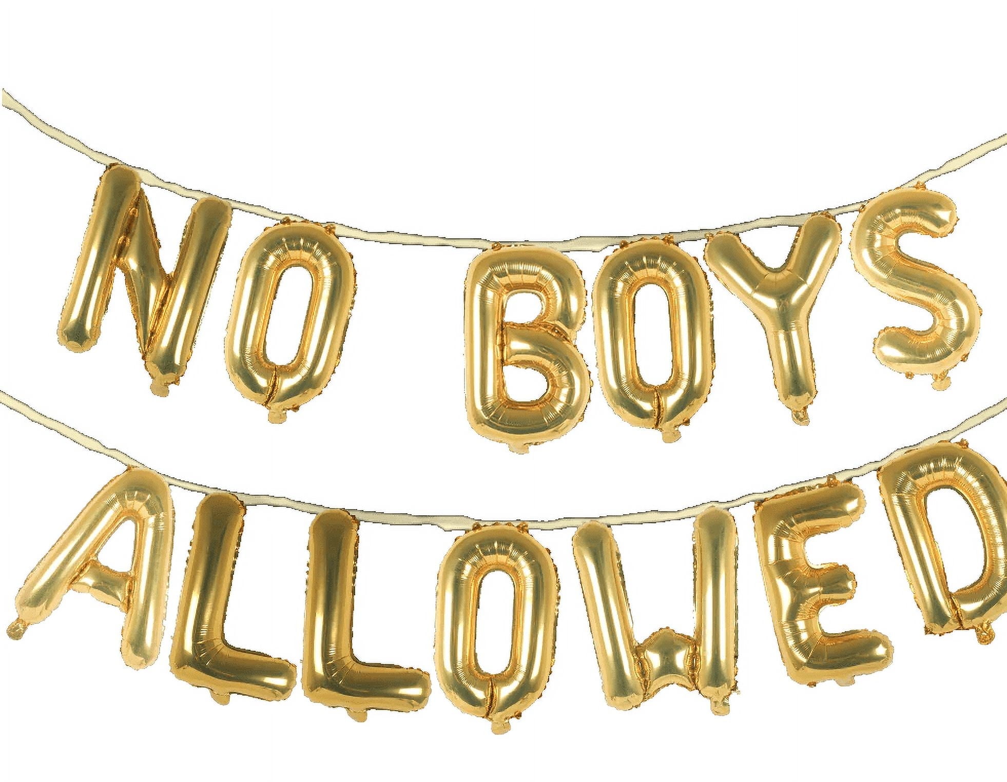 Pijama party, no boy allowed balloons,pink girls night party, single ...