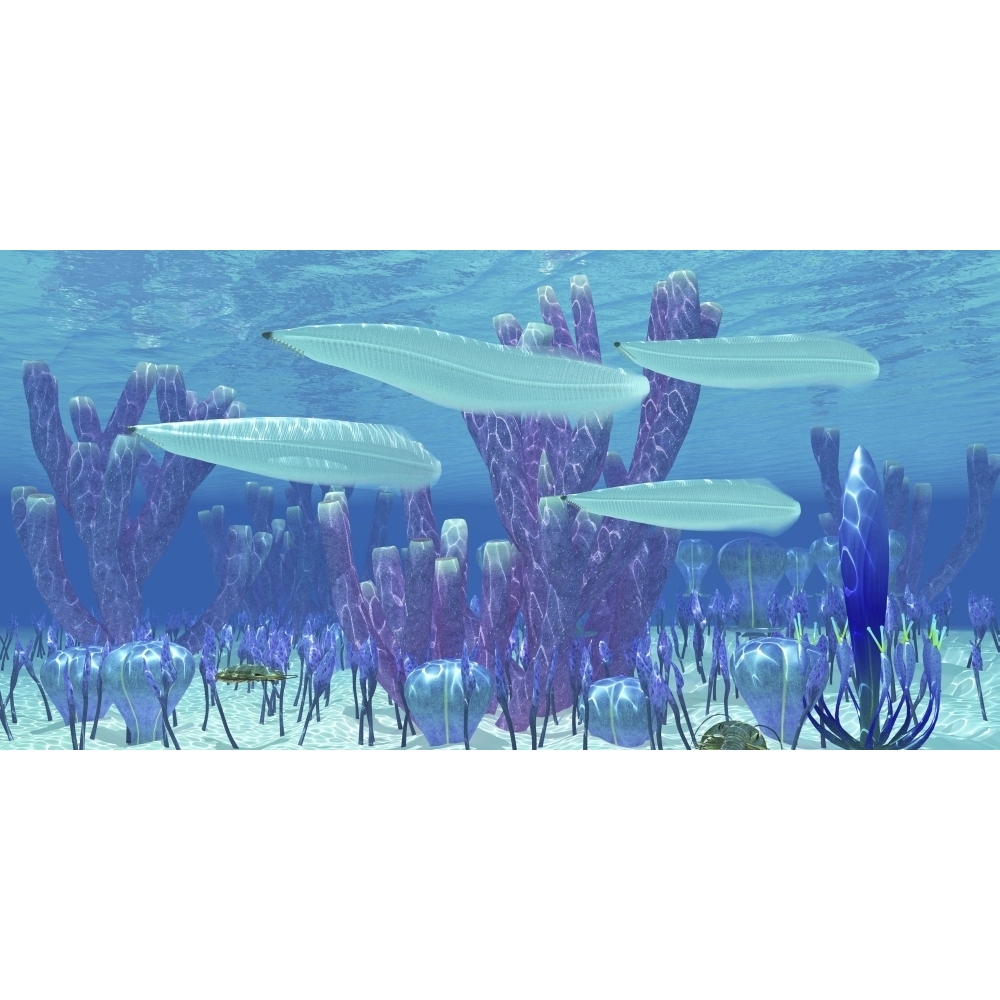 Pikaia fish swim along with trilobite invetebrates during the Cambrian ...