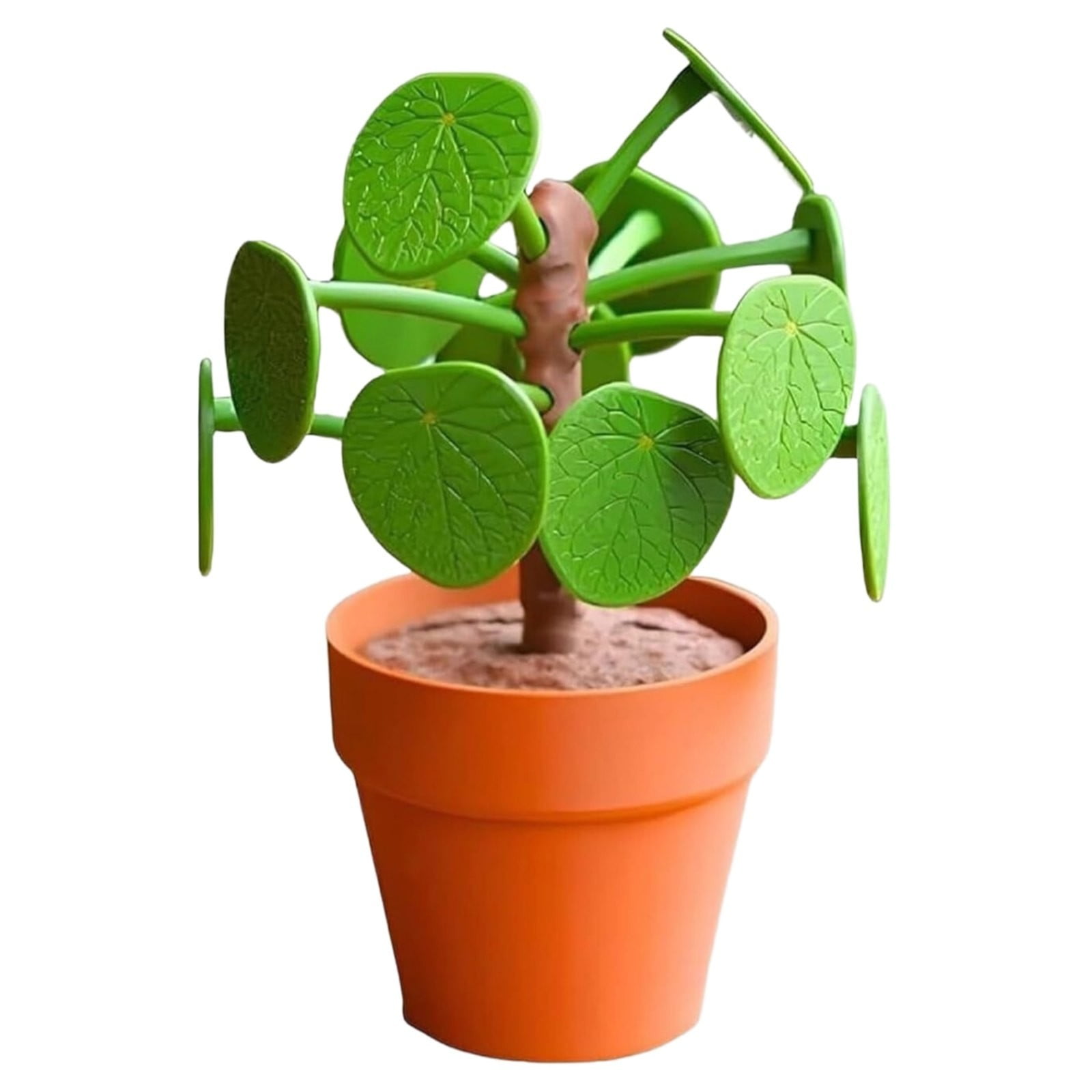 Pilea Food Picker, The Chinese Money Plant, Dinner Decider, Food ...
