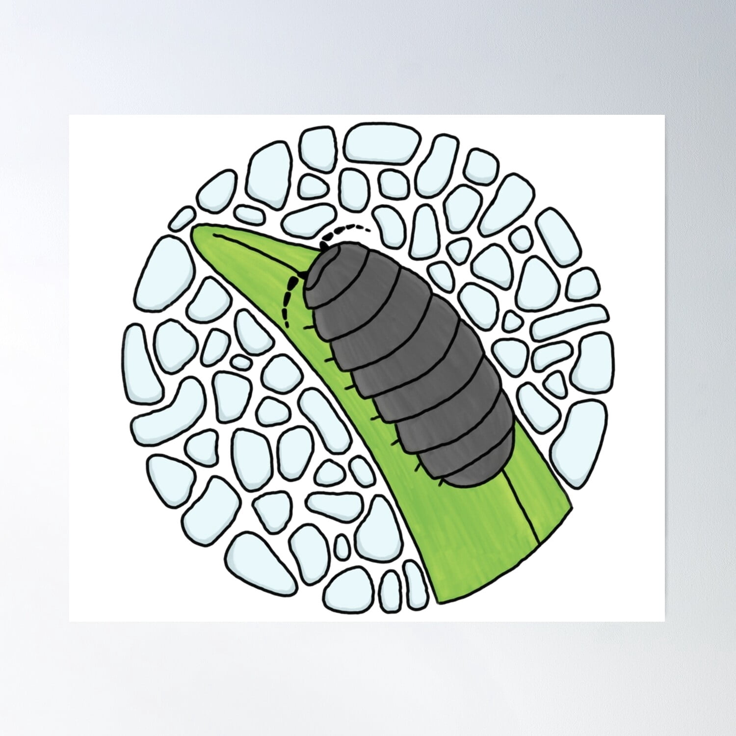 Pill Bug Poster Wall Art, Modern Wall Decor, 24x36 UNFRAMED - Walmart.com