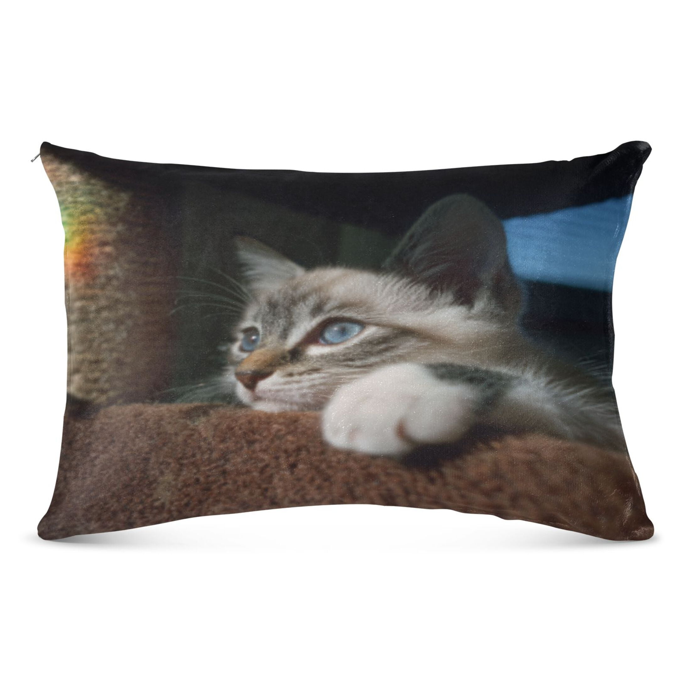 Pillow CaseCurious Kitten's Peek Pattern Whimsy Case standard size/King ...