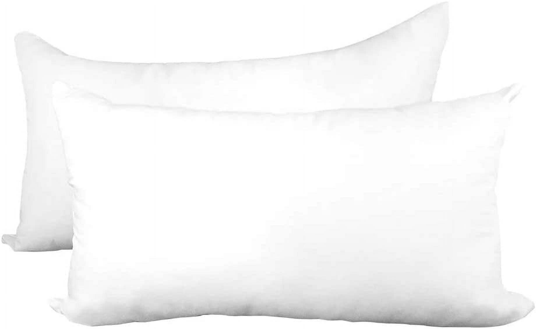 Pillow Insert 12" x 18" Polyester Filled Premium Fabric Cover (2 Pack ...
